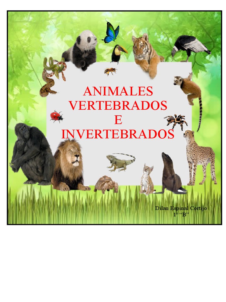 Animales Vertebrados e Invertebrados | PDF | Esqueleto | Invertebrado