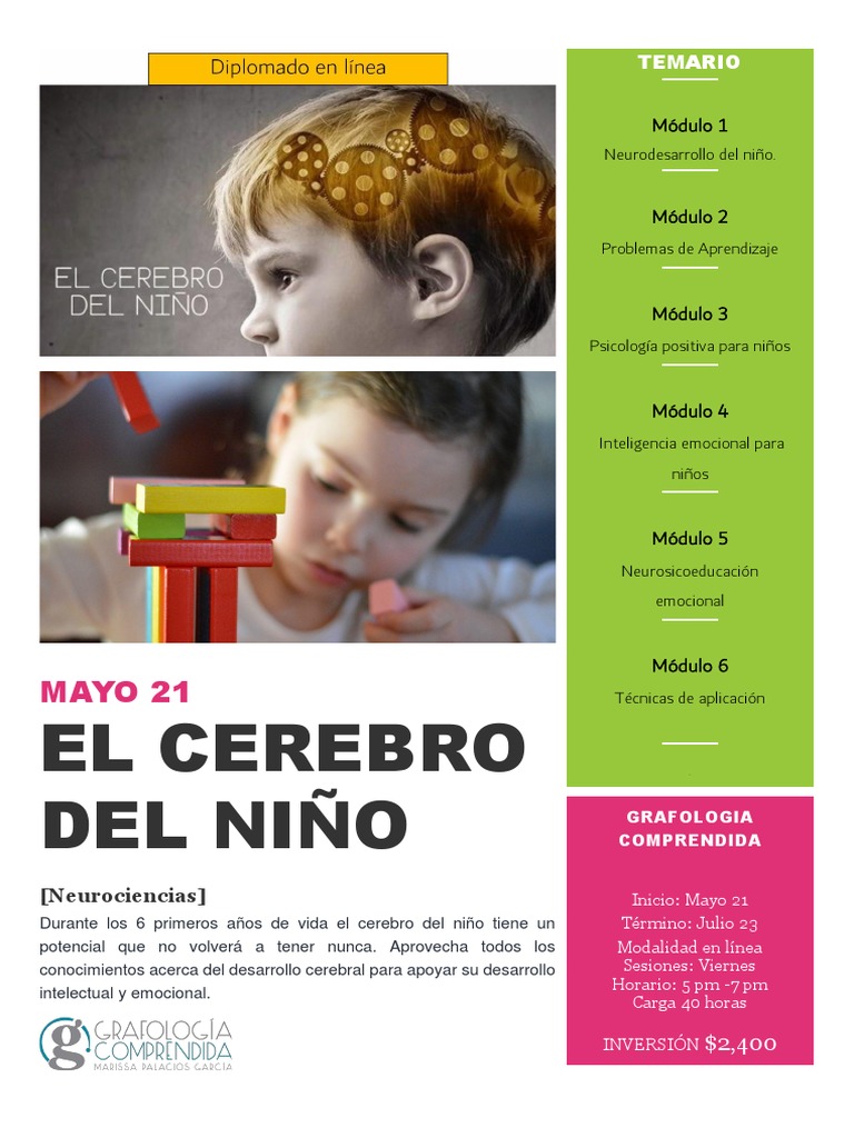 El Cerebro Del Niño Mayo 21 Descargar Gratis Pdf Ciencia Cognitiva