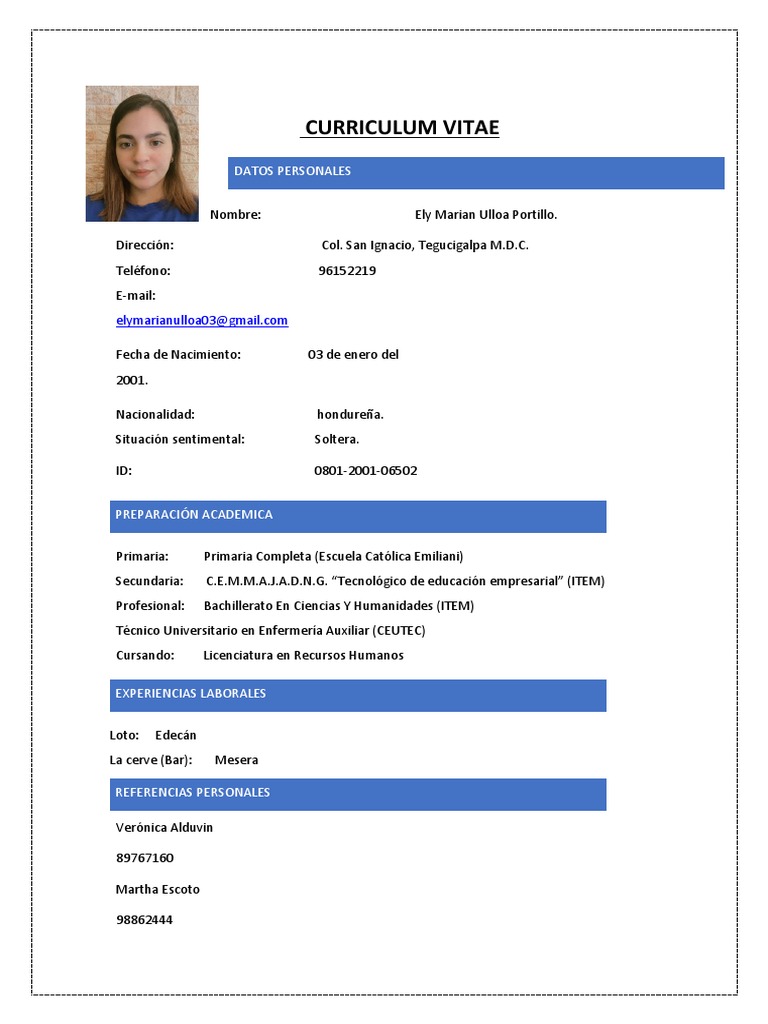 CV de Ely Marian Ulloa Portillo | PDF
