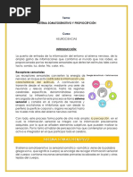 Sensibilidad Somestésica y Visceral | PDF | Dolor | Sistema somatosensorial