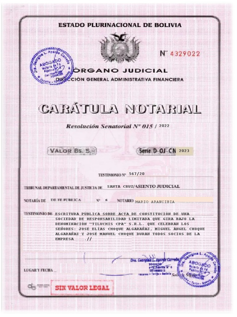 TESTIMONIO DE CONSTITUCIÓN Y PODER DE ADM | PDF | Economias | Justicia TESTIMONIO DE CONSTITUCIÓN Y PODER DE ADM | PDF | Economias | Justicia