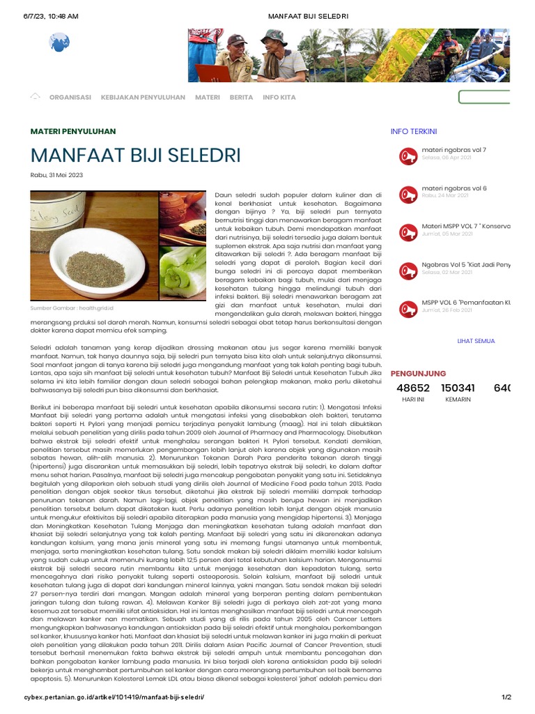 Manfaat Biji Seledri | PDF