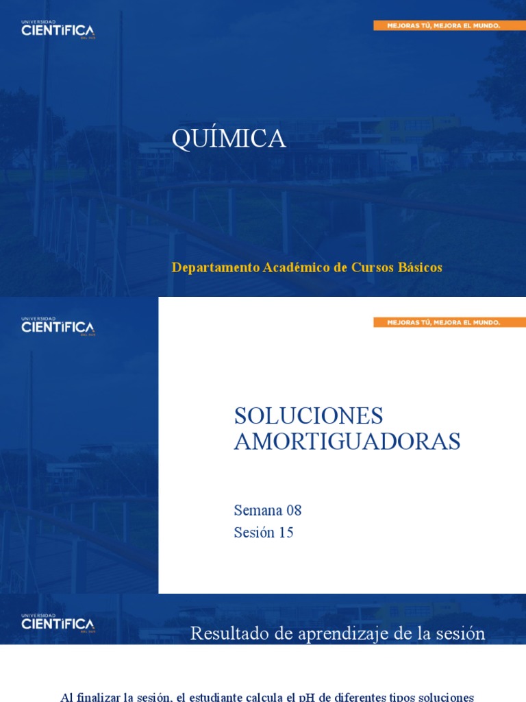 Soluciones Amortiguadoras: Cálculo de pH | PDF | Solución tampón | Ácido
