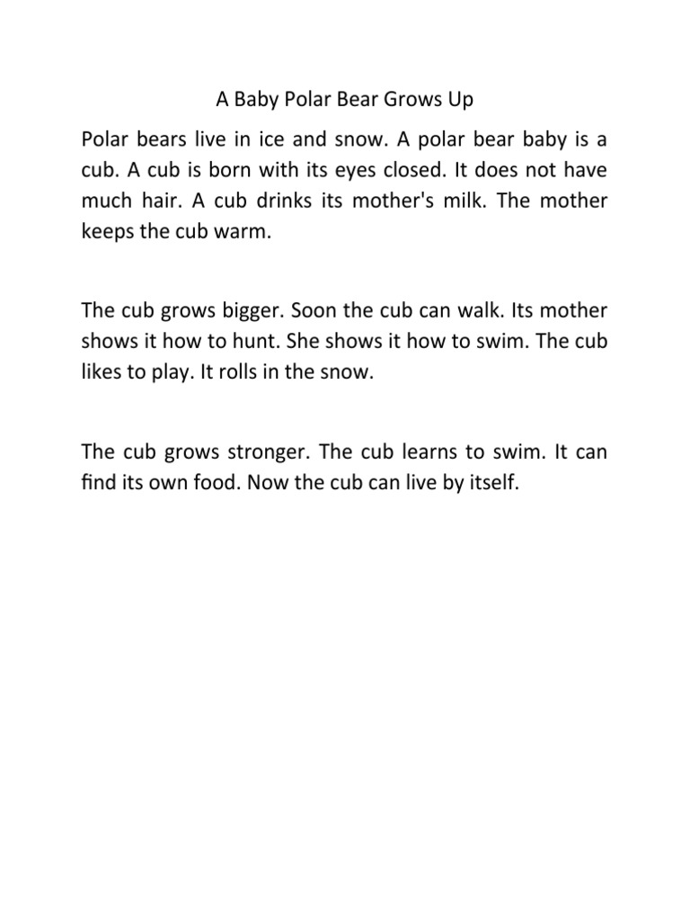 A Baby Polar Bear Grows Up | PDF