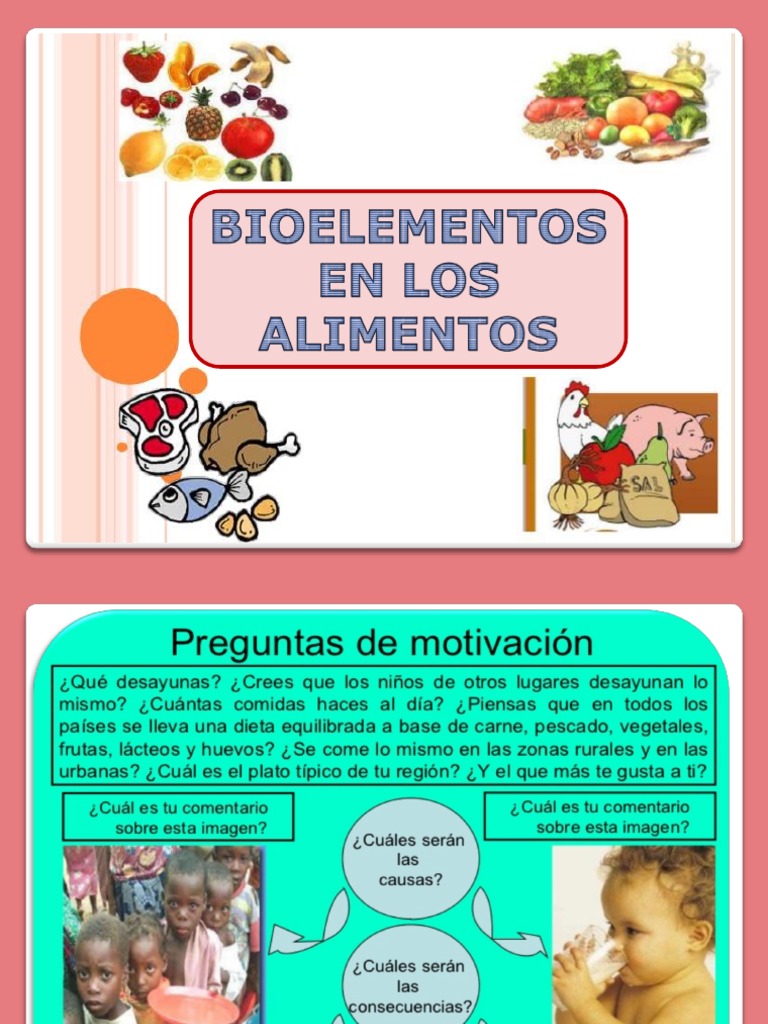 Bioelementos en Los Alimentos | PDF