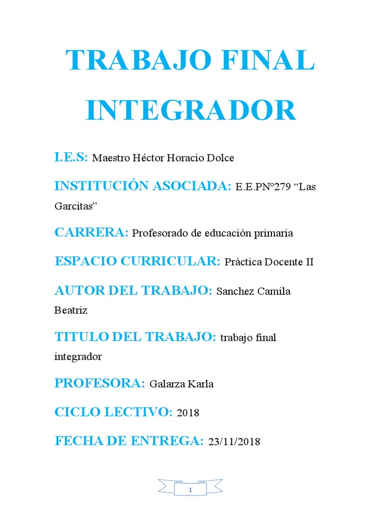 Trabajo Final Integrador | PDF | Enseñando | Maestros