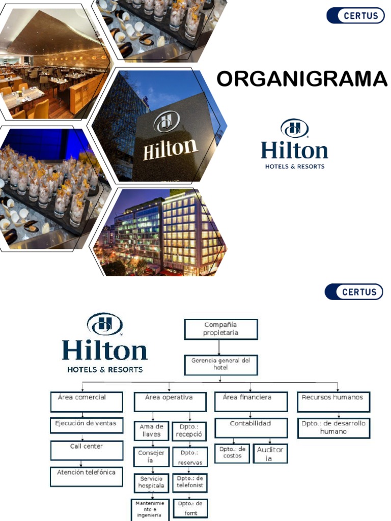 ORGANIGRAMA HILTON_MH | PDF