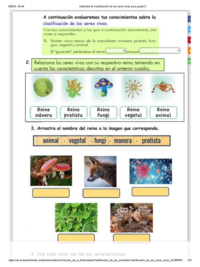 Actividad de Clasificación de Los Seres Vivos para Grade 3 | PDF ...