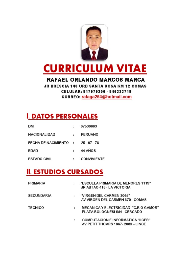 Curriculum Vitae: L. Datos Personales | PDF