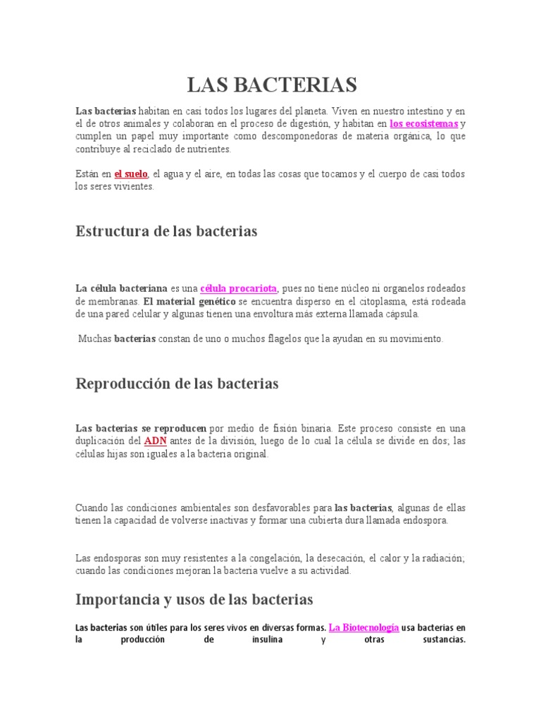 Las Bacterias | PDF | Las bacterias | Biología Celular)