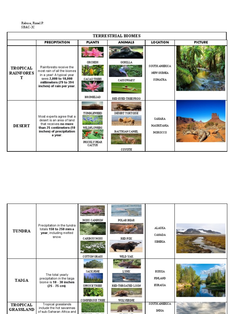 Terrestrial Biomes: Precipitation & Species | PDF | Grassland ...