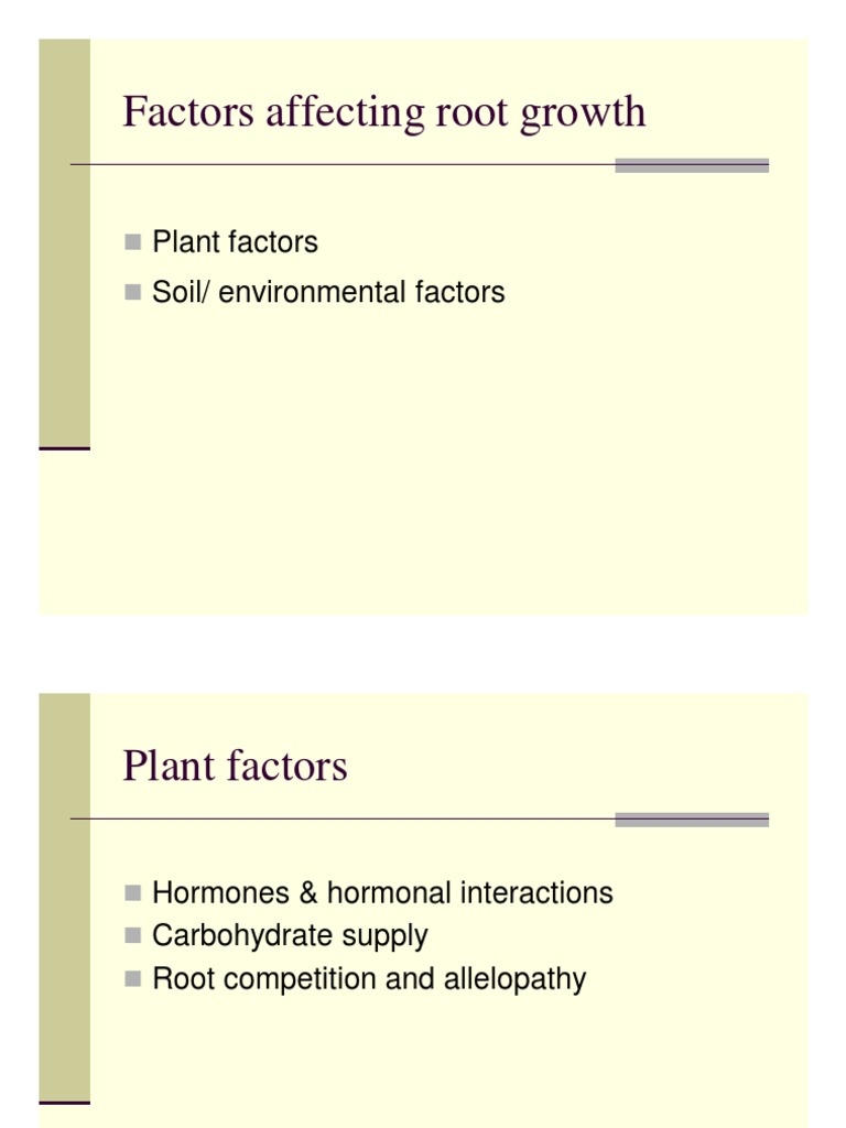 Factors Influencing Root Growth | PDF | Root | Soil