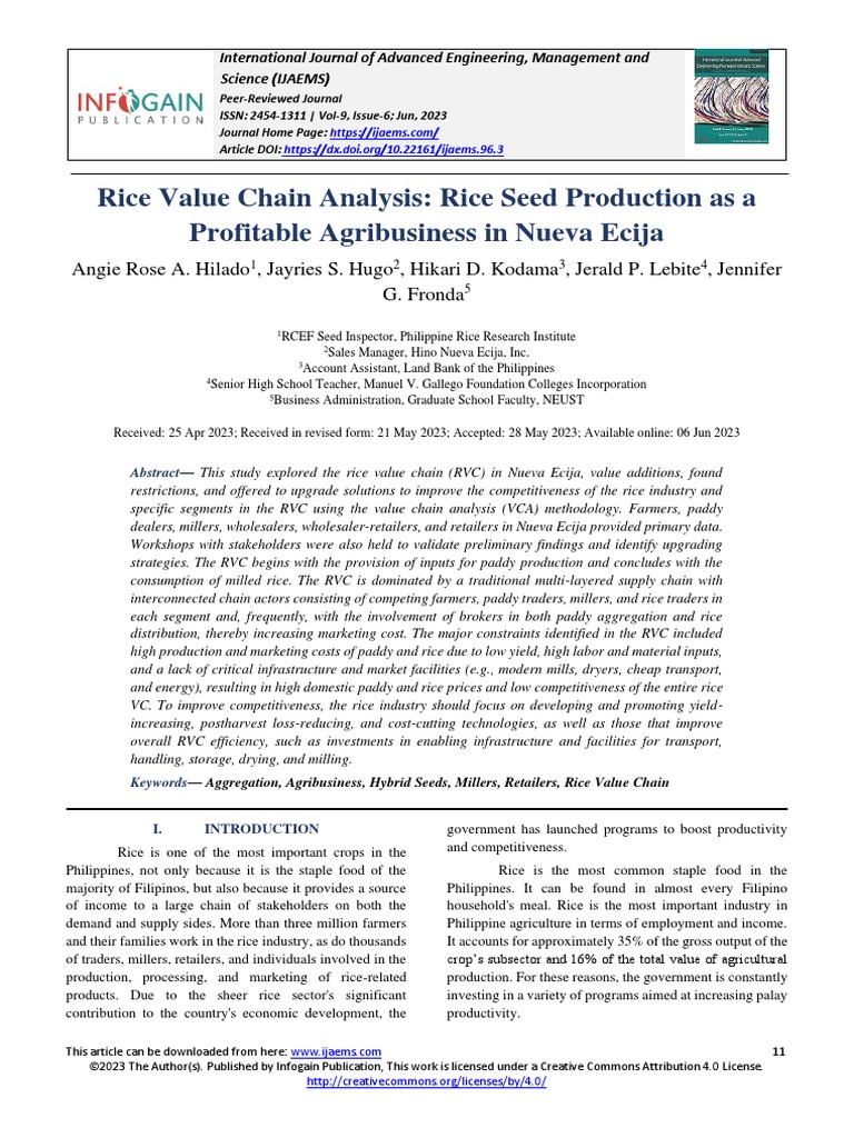 Rice Value Chain in Nueva Ecija | PDF | Paddy Field | Rice