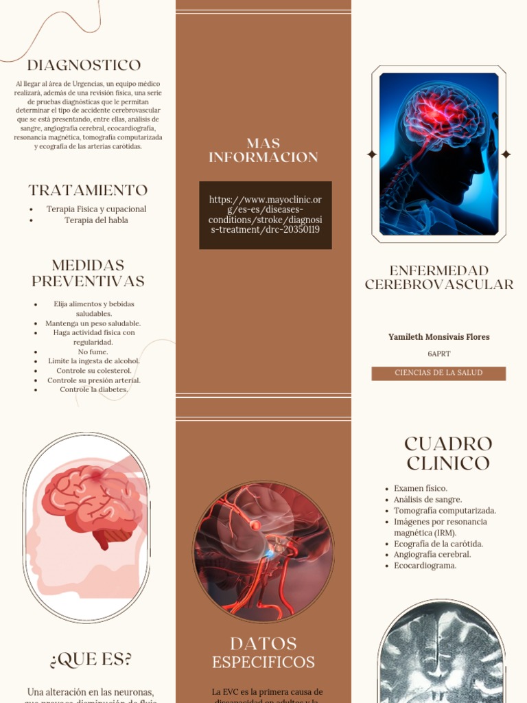 Triptico - Enfermedad Cerebrovascular | PDF | Carrera | Imagen de resonancia magnética