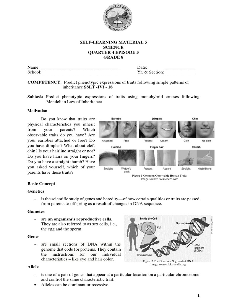 Science 8 - Q4 - Episode 5 - SLM | PDF