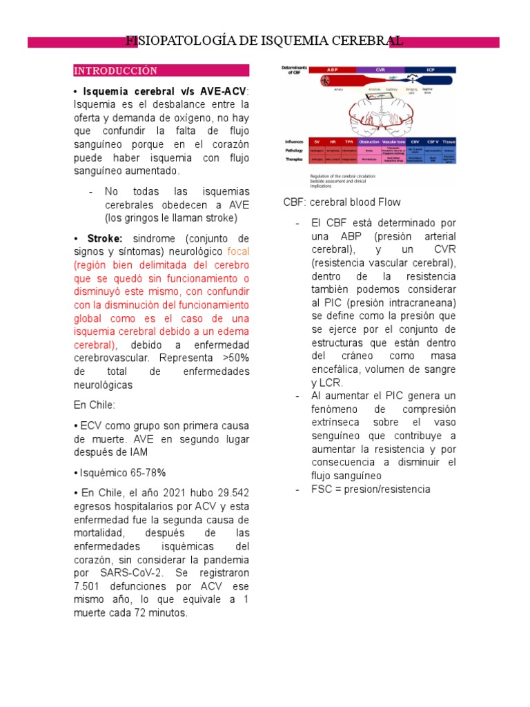 Fisiopatología de La Isquemia Cerebral | PDF | Isquemia | Carrera