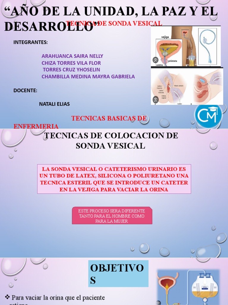 Técnica de Sonda Vesical en Enfermería | PDF | Vejiga urinaria ...