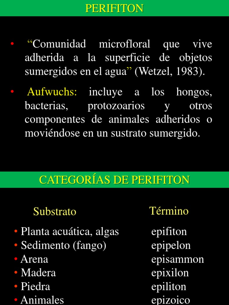 Clase 3. Perifiton (Agua Dulce) | PDF | Taxa | Ciencias de la Tierra