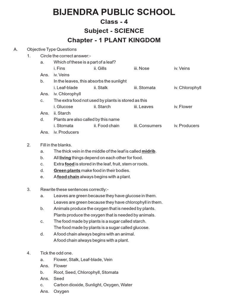 Class 4 Subject Science Chapter 1 Plant Kingdom | PDF | Leaf | Plants