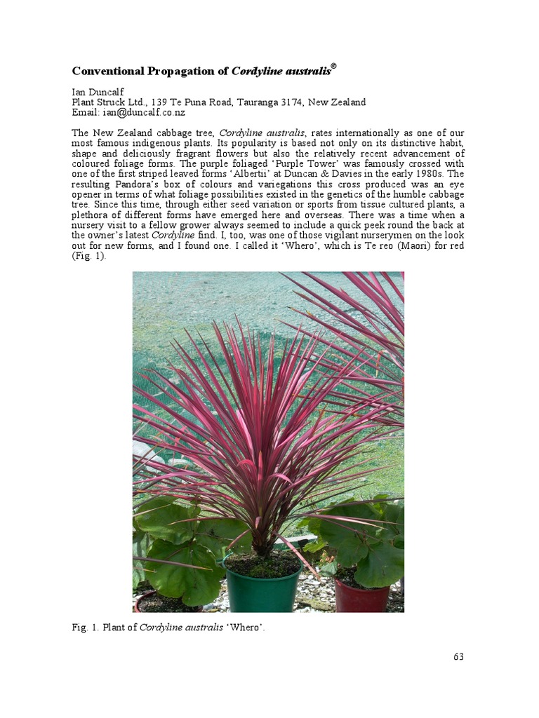 Duncalf 2014 | PDF