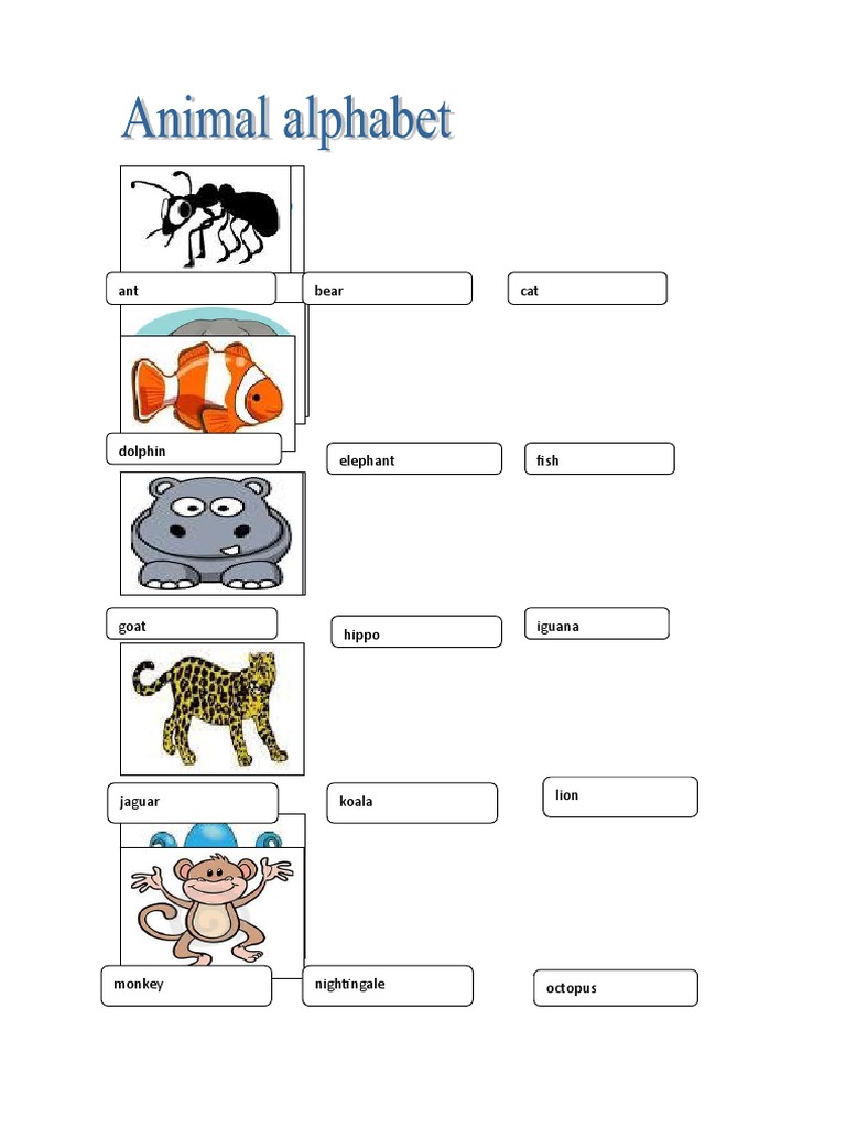 Animal Alphabet Picture Dictionaries - 37567 | PDF