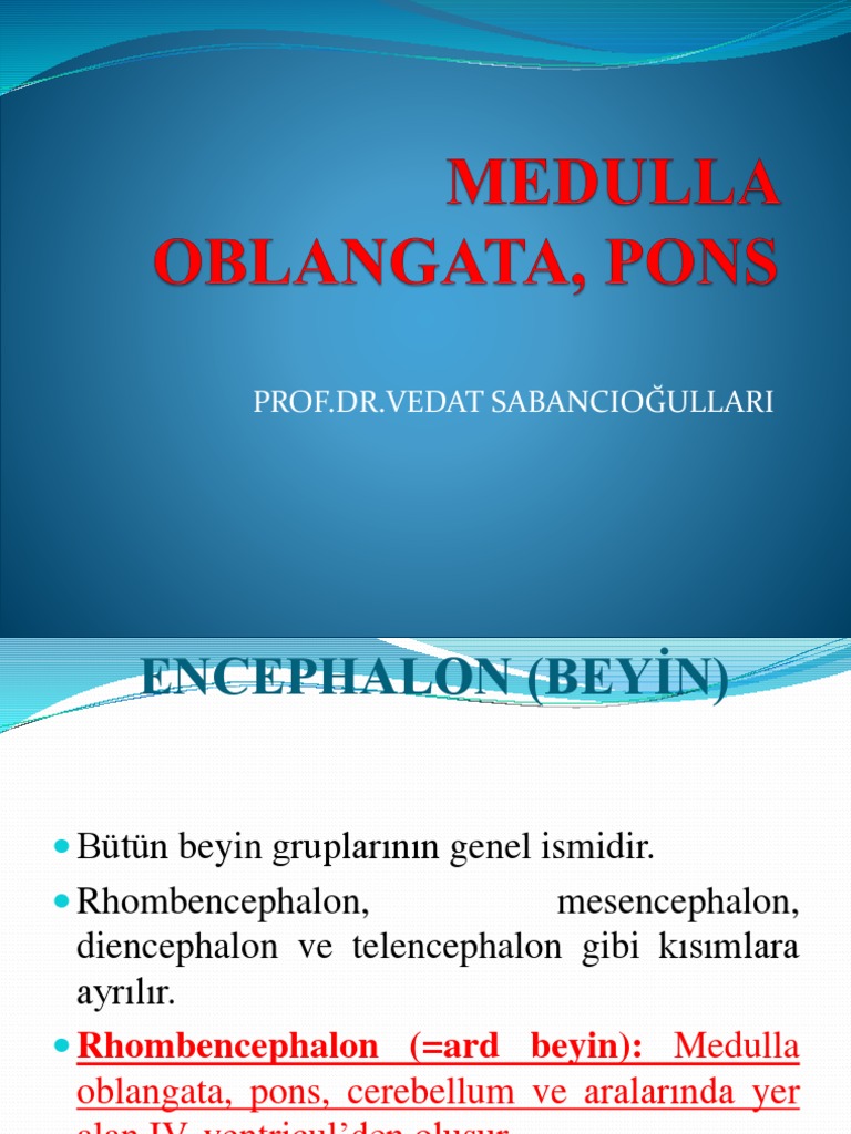 Anatomi MEDULLA OBLANGATA VE PONS | PDF