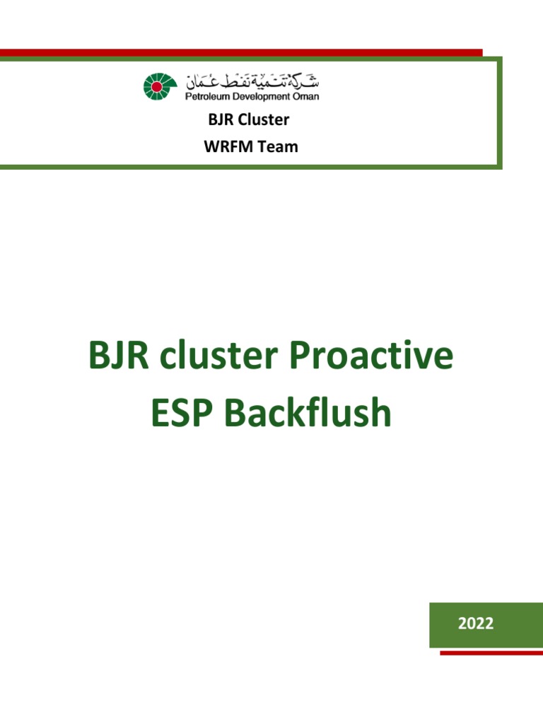 Proative ESP Backflush Standard Program V2 | PDF | Pump | Physical Sciences
