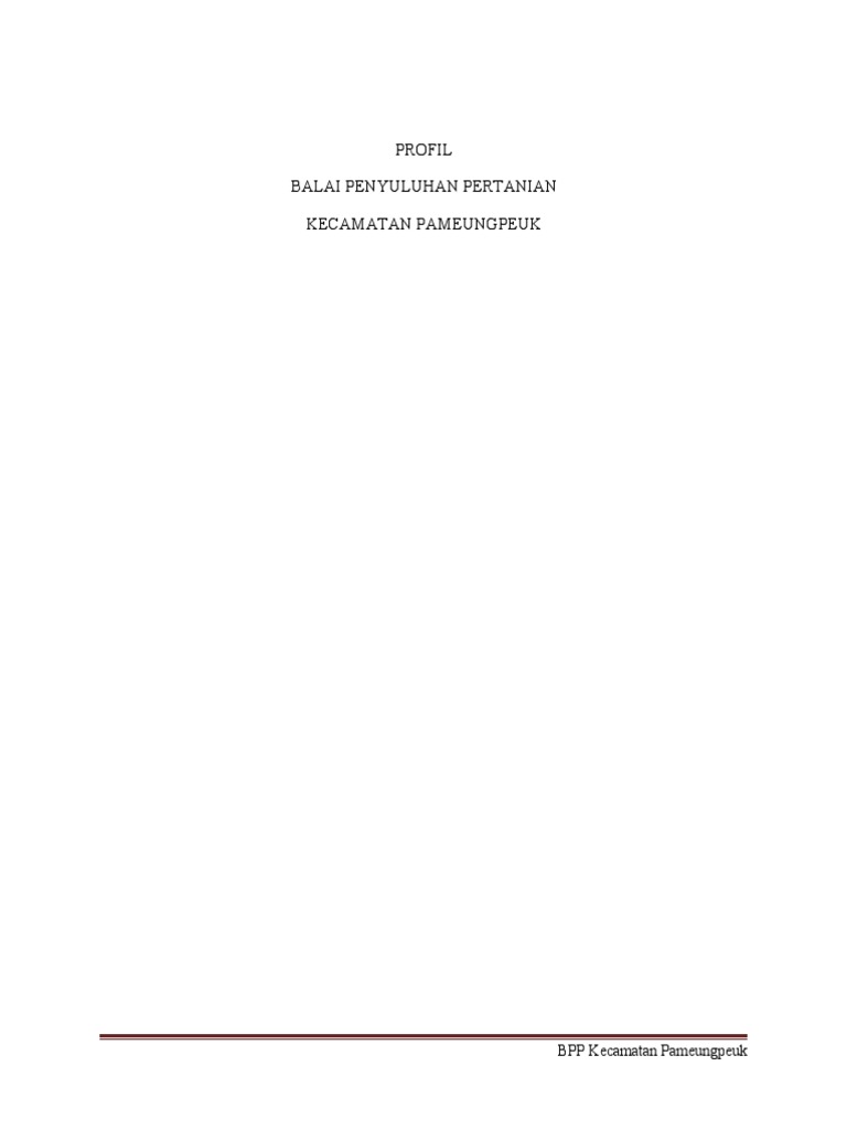 Profil BPP Pameungpeuk | PDF