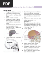 Suturas Do Crânio Resumo | PDF | Anatomia | Anatomia humana