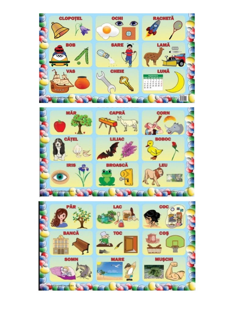 Omonime în imagini | PDF