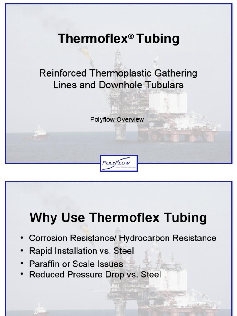 Polyflow Overview | PDF