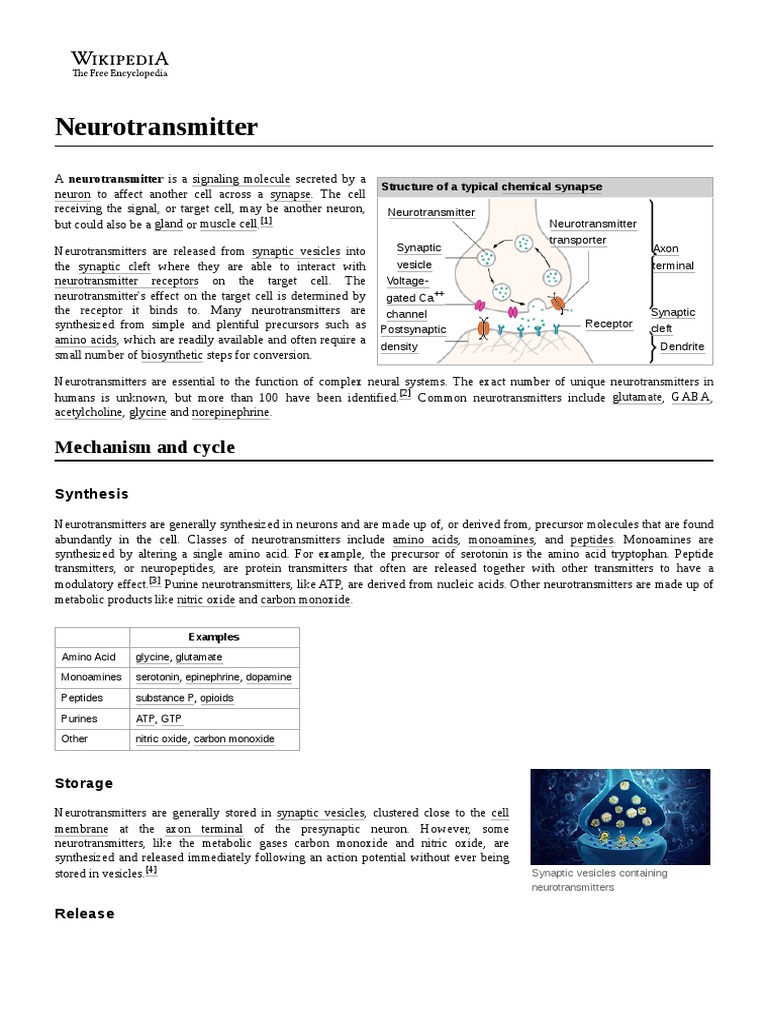Neurotransmitter | PDF | Neurotransmitter | Chemical Synapse