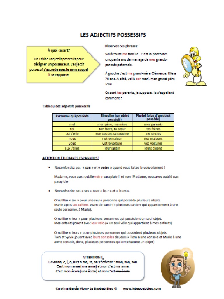 Les Adjectifs Possessifs - Exercices - | PDF