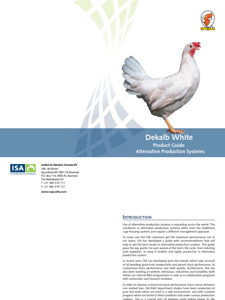 Dekalb White Product Guide Alternative Production Systems Vs1408a | PDF ...