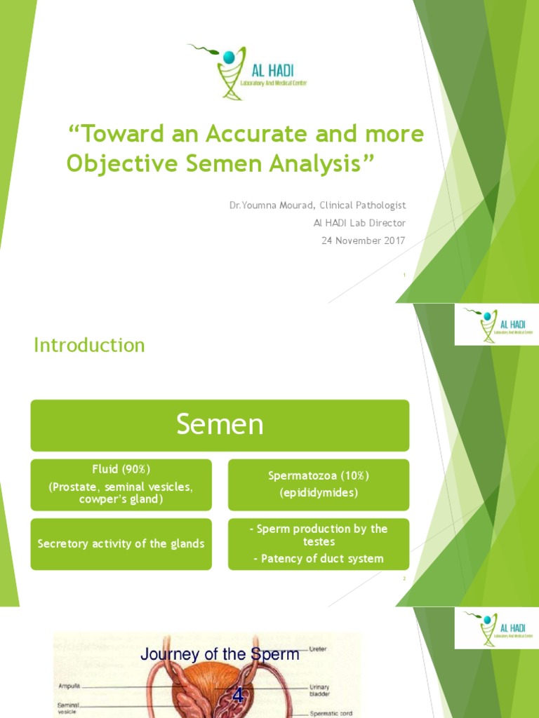 Semen Analysis Final y | PDF | Semen | Reproduction