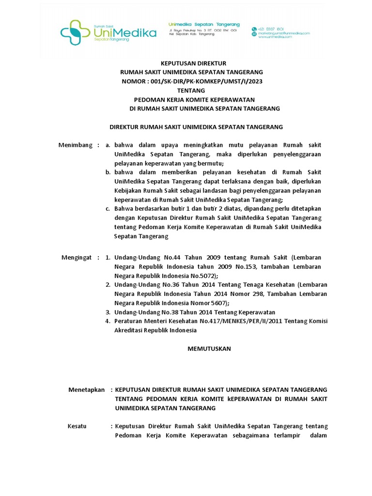 Pedoman Kerja Komite Keperawatan | PDF