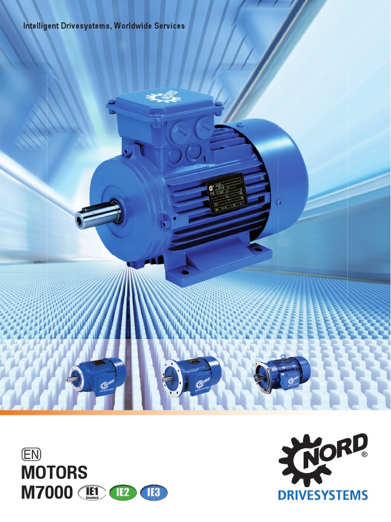 Motor Nord | PDF | Electricity | Physical Quantities