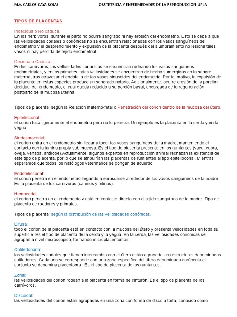 Tipos de placenta en perros y gatos | PDF | Placenta | El embarazo