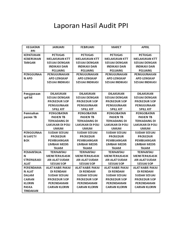 Laporan Hasil Audit PPI | PDF