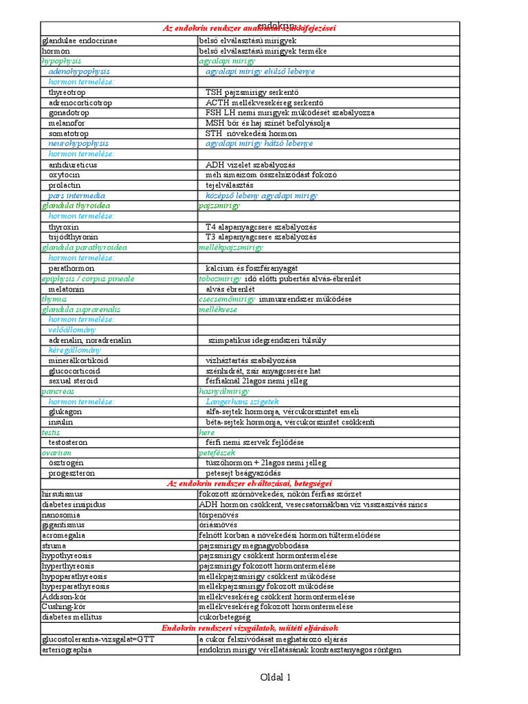 13 Latin Endokrin Rendszer Ápolás | PDF
