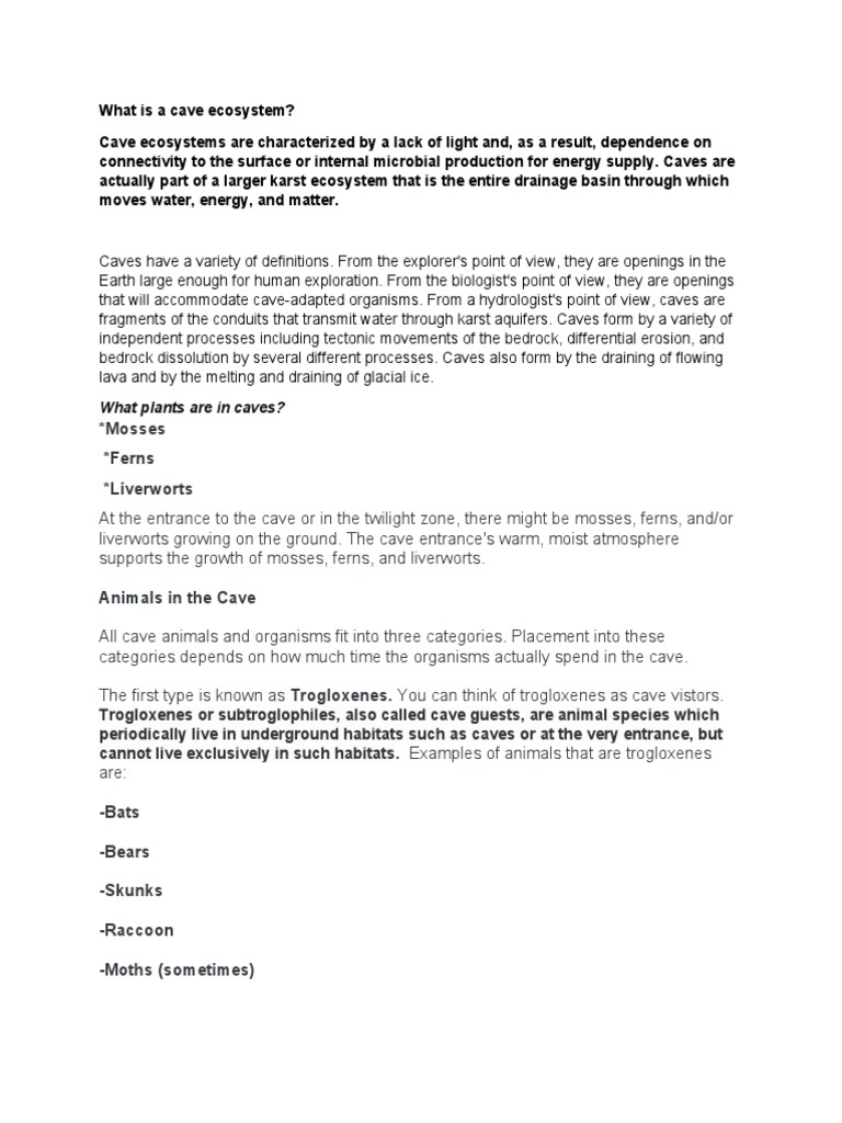 Cave | PDF | Cave | Ecosystem
