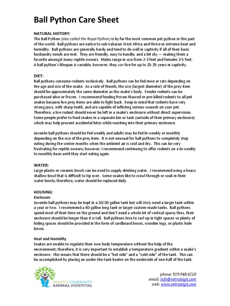 Ball Python Care Sheet Finished | PDF