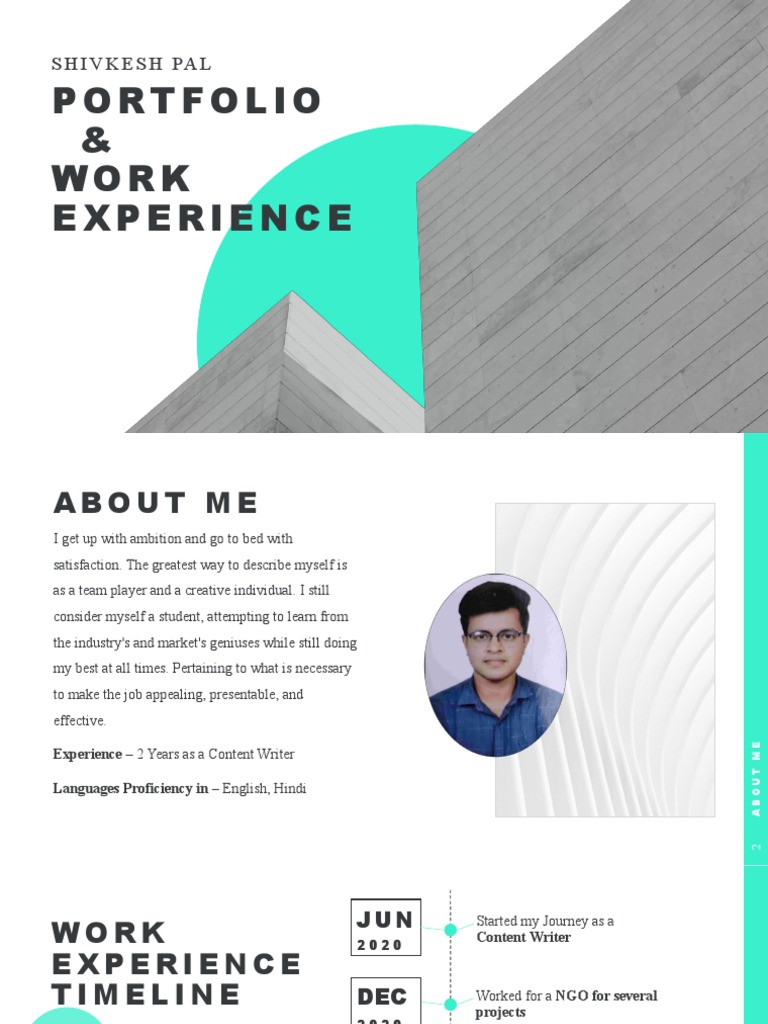 A Brief Sample On Creating An Impressive Portfolio | PDF