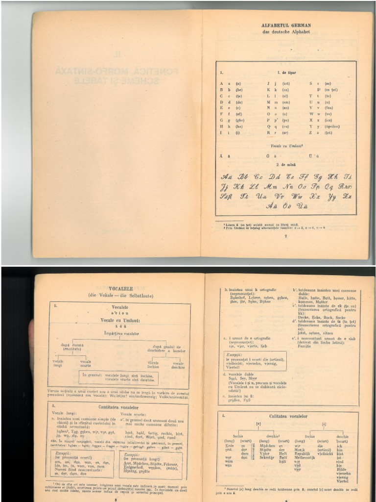 Limba Germana Curs Practic - Lazarescu - Gramatica | PDF