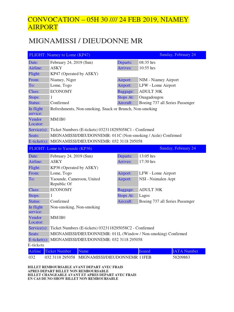 E-TKT MIGNAMISSI DIEUDONNEMR - Billet Retour Bon 24.02.2019 Final | PDF