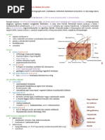 Az Emberi Test Felépítése Anatómia Ápolás | PDF