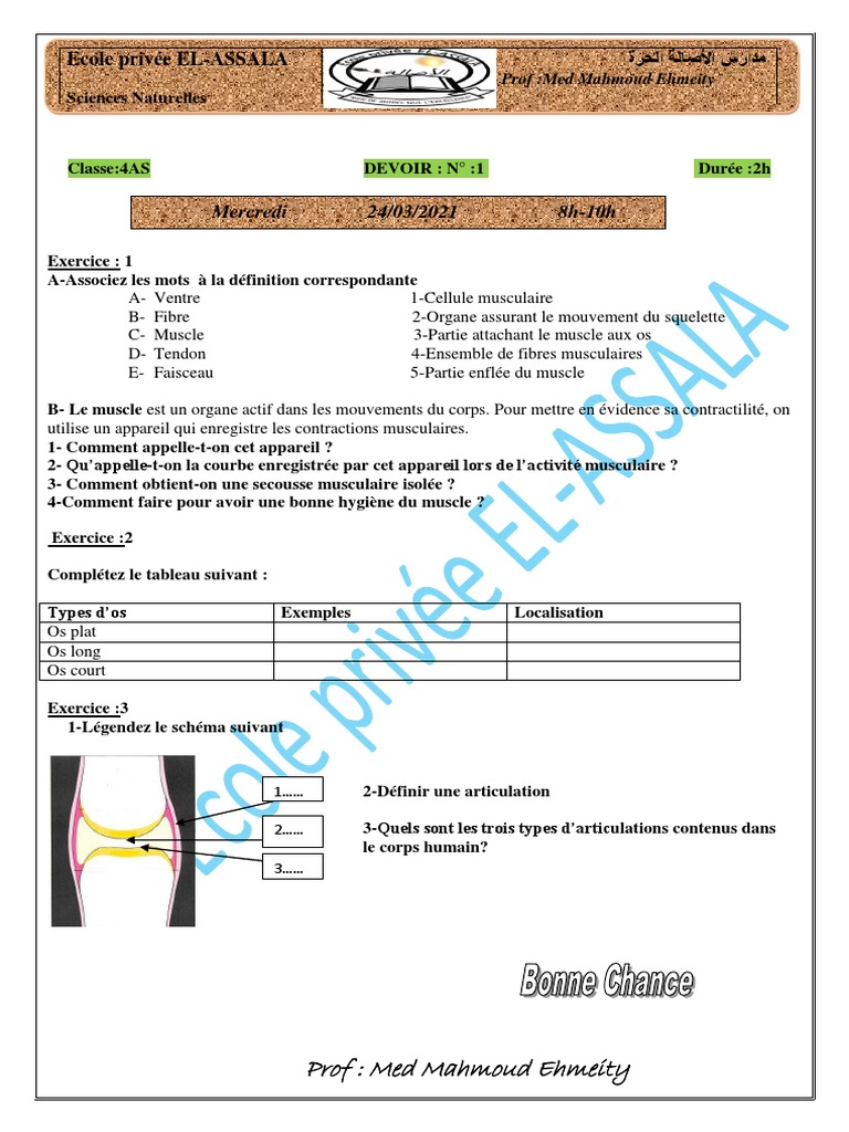 Secousse musculaire et exercices 4AS | PDF | Développement personnel ...