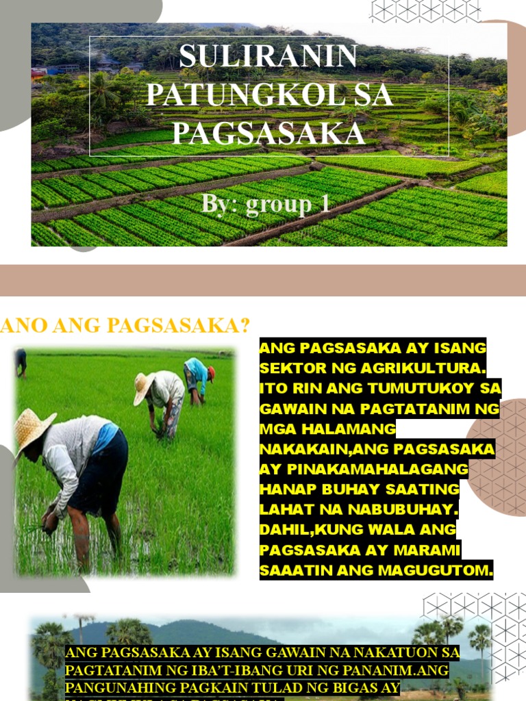 AP Pagsasaka | PDF
