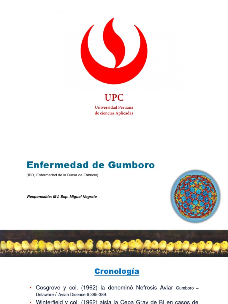 1 - Gumboro | PDF