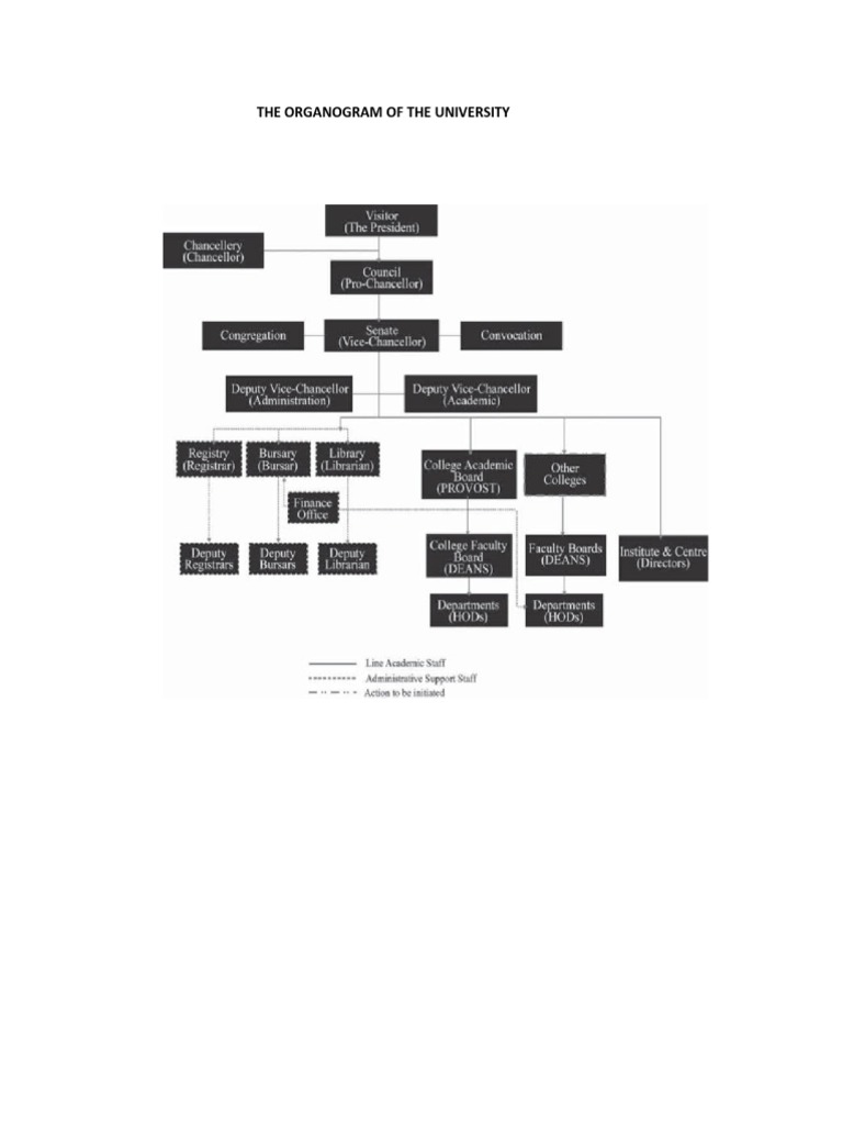 THE ORGANOGRAM-WPS Office | PDF